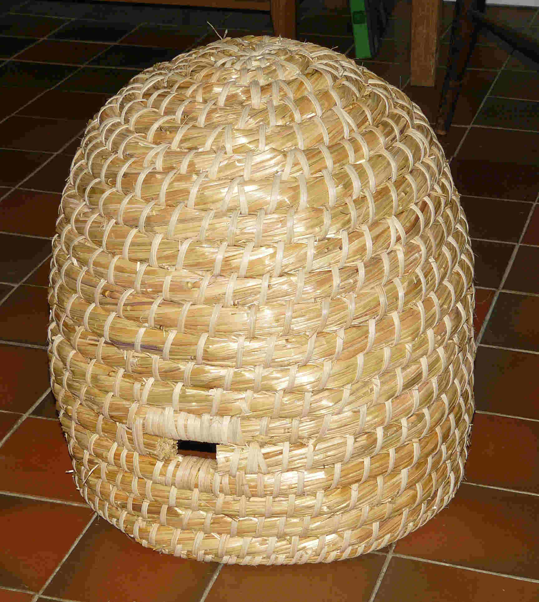 File:Skep.jpg - DQWiki